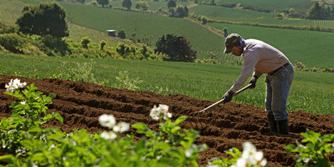 La agricultura tecnológica, comprometida con la capa de ozono ...