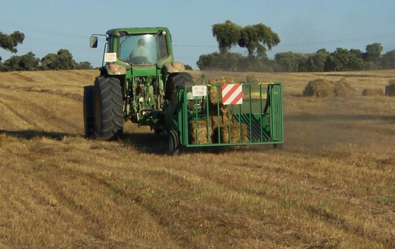 'Sector agrario' frente al 'agroalimentario': Más que literatura una ...