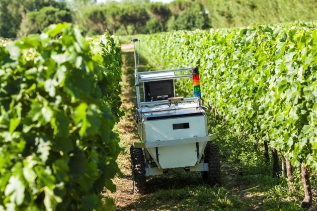 VineRobot II, el futuro robot capaz de escoger hojas y uvas en los ...