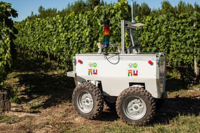 VineRobot II, el futuro robot capaz de escoger hojas y uvas en los ...