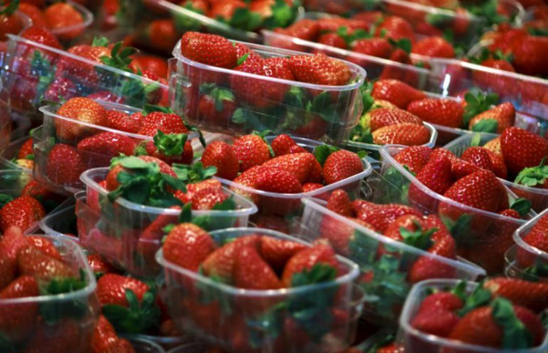 "Fresas de Europa: de cualquier forma, a cualquier hora y en cualquier ...