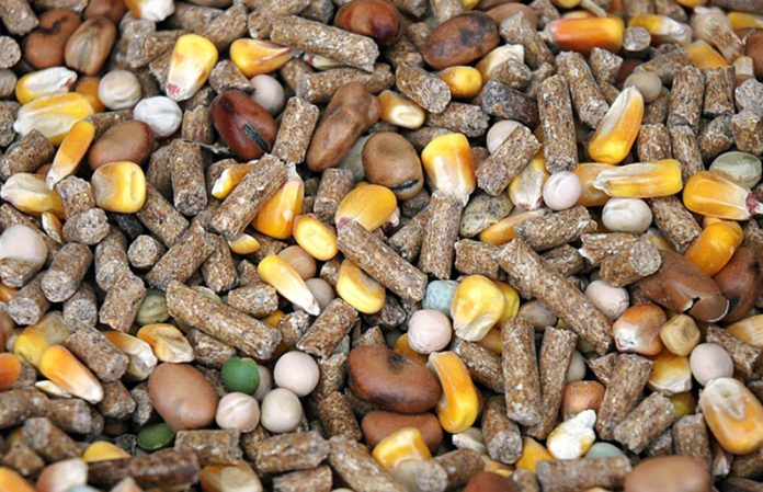 El precio de los piensos comienza 2019 con una subida generalizada en ...