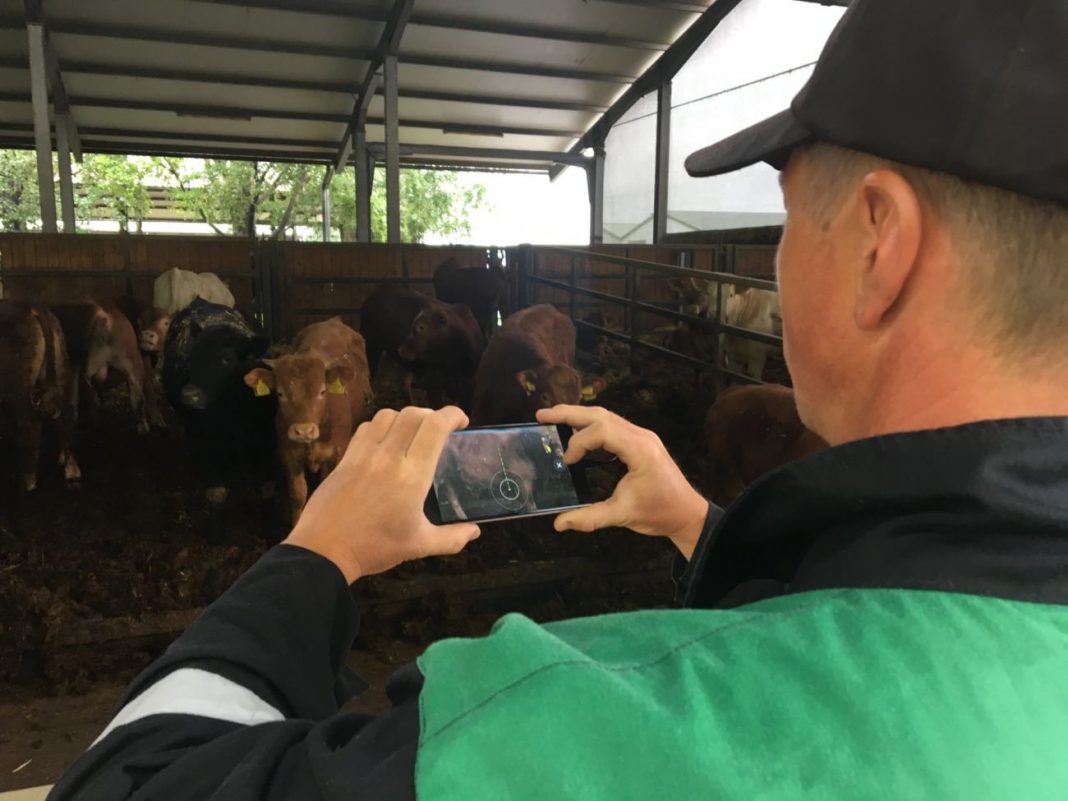 Beefie, la nueva aplicación para smartphones que calcula el peso del ...