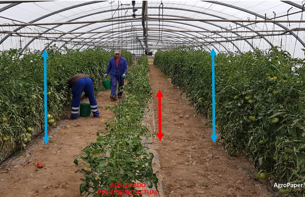 AgroPaper, un material de base de papel 100% biodegradable para ...