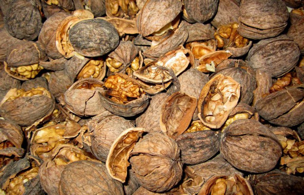 El precio en origen de la nuez está un 20% por debajo de la media desde ...