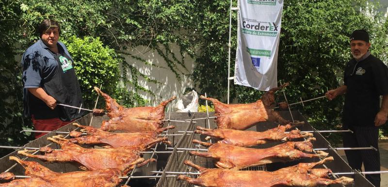 Corderex certifica 70.621 canales de cordero en 2019 con una ...