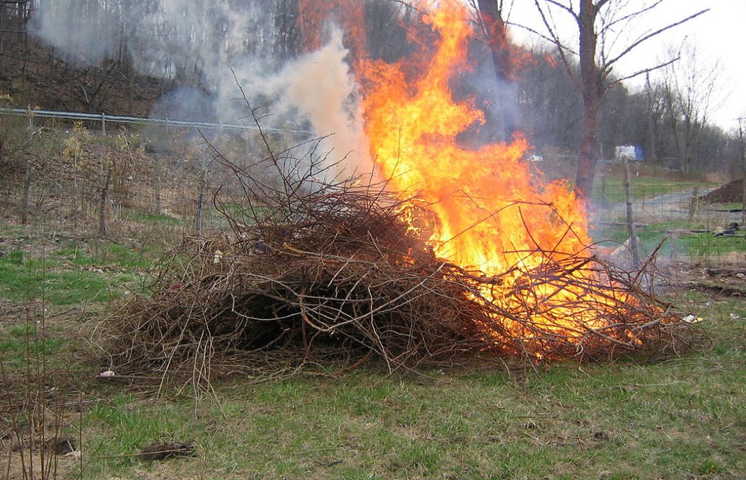 A pesar del estado de alarma, se podrán tramitar autorizaciones para ...