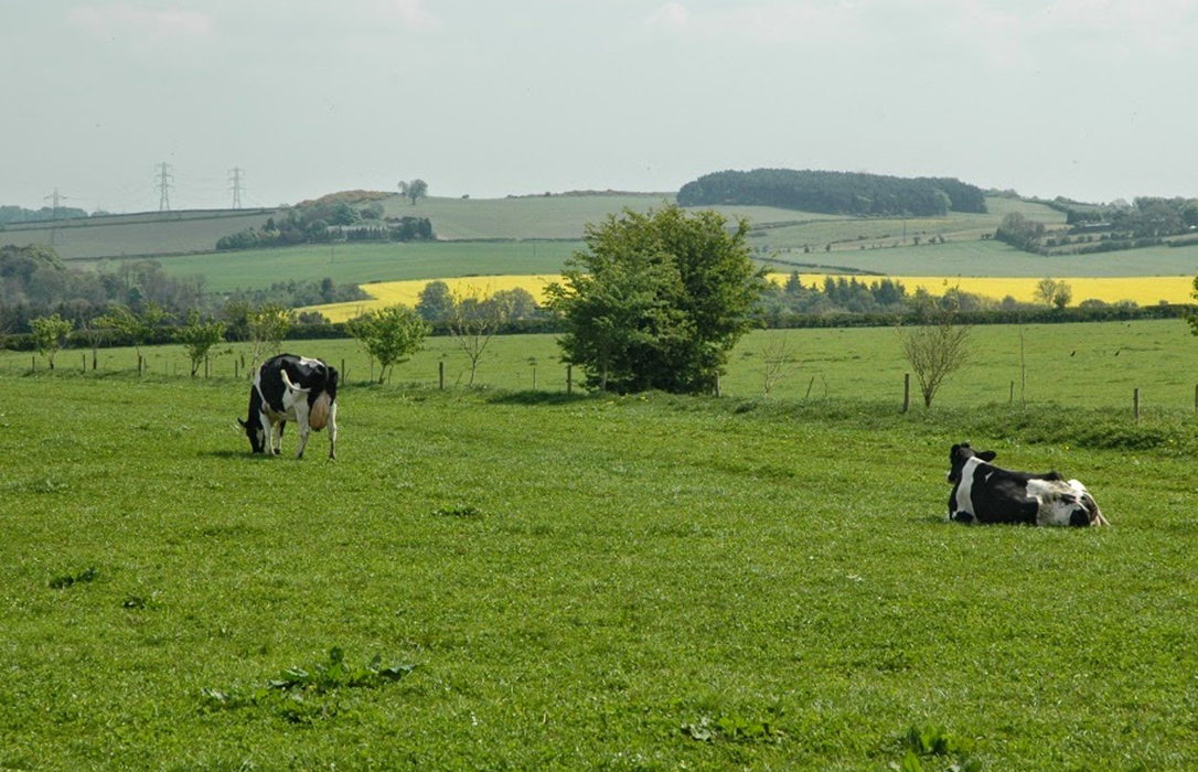 Demandan a la CE una aplicación realista de sus estrategias “De la ...