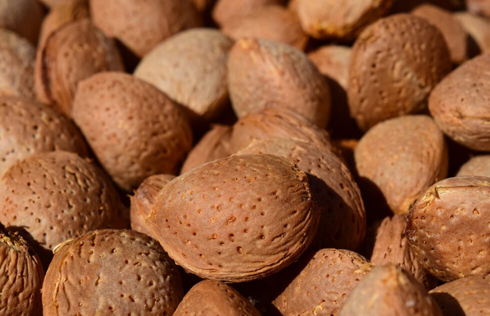 La almendra vuelve a caer entre 15 y 20 céntimos esta semana y va a ...