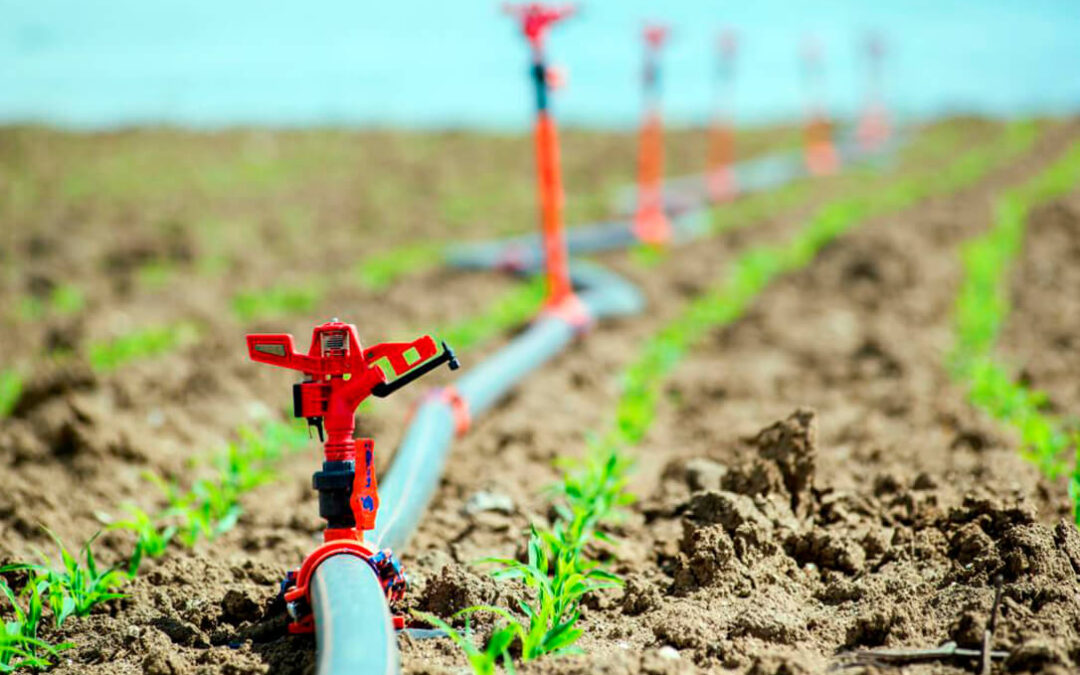 Hacia una economía rural sostenible - Agroinformacion