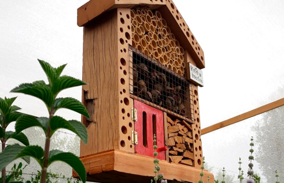 Experiencia piloto: Un Hotel de insectos para cobijar a insectos para ...