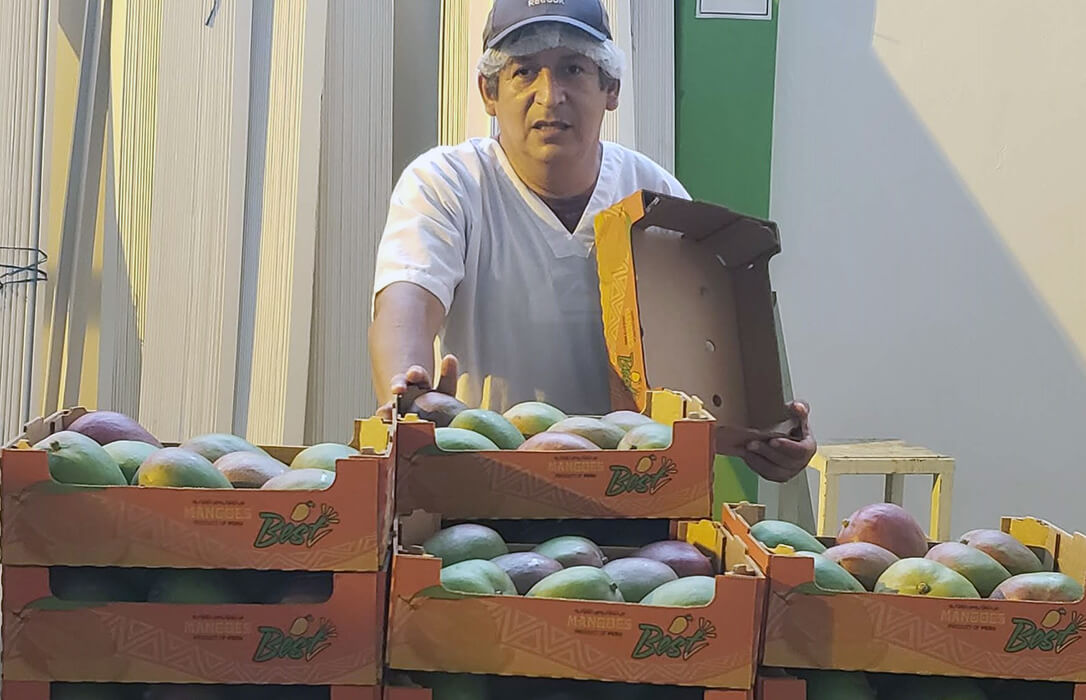 El mango de Perú apuesta por ordenar más su oferta y crear una marca de ...