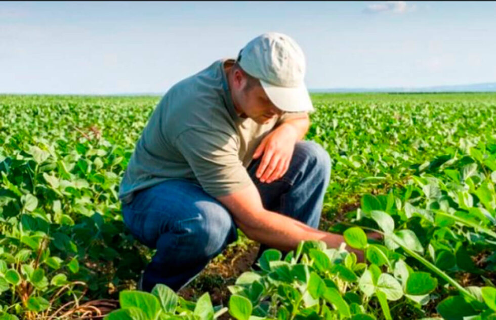El MAPA impulsa la formación para técnicos del Medio Rural como ...