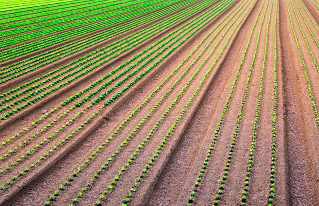 El Gobierno autoriza la distribución de 104,12 millones de euros para ...