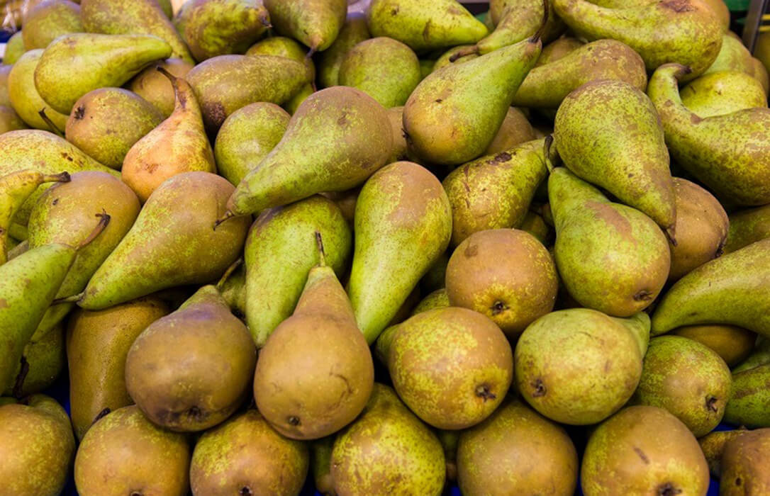 Las heladas en Europa hunden la producción de pera entre el 30 y el 50% ...