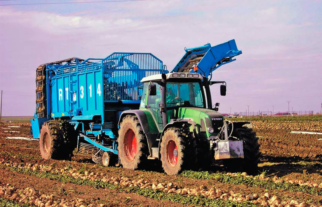 La azucarera de Mérida podría operar en 2024 y disparará el cultivo de ...