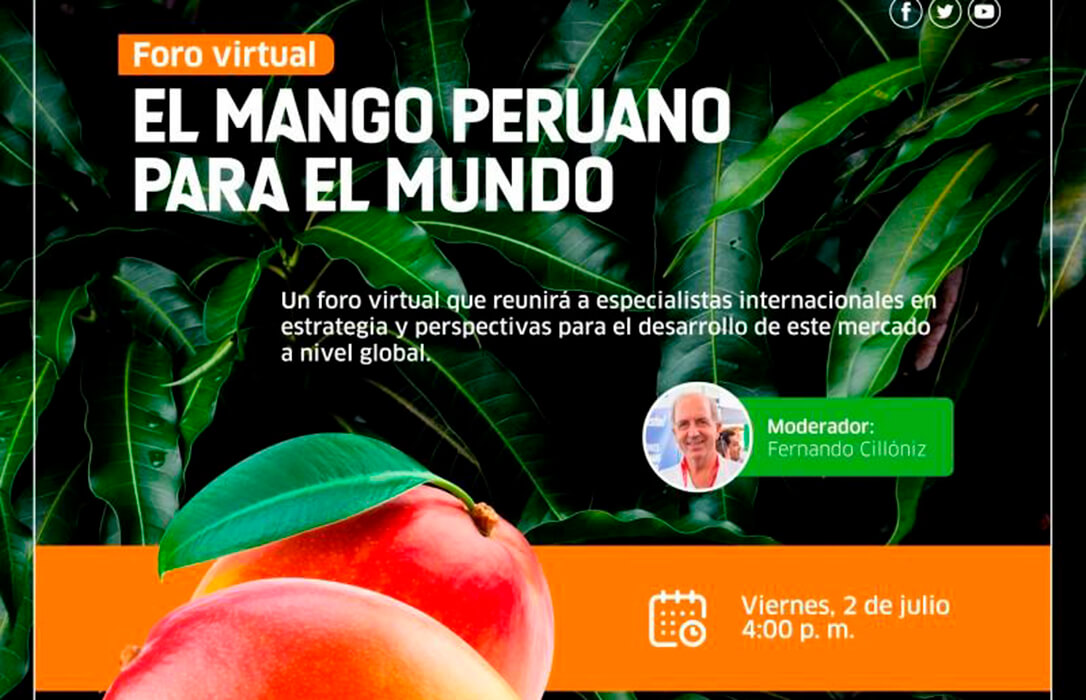 Un foro virtual que aborda la realidad internacional y las perspectivas ...