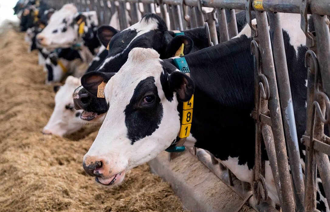 El sector lácteo gallego quiere reunirse para valorar acciones ...