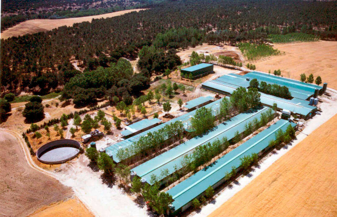 Granjas Copese consigue el sello ‘Compromiso Bienestar Certificado’ de ...