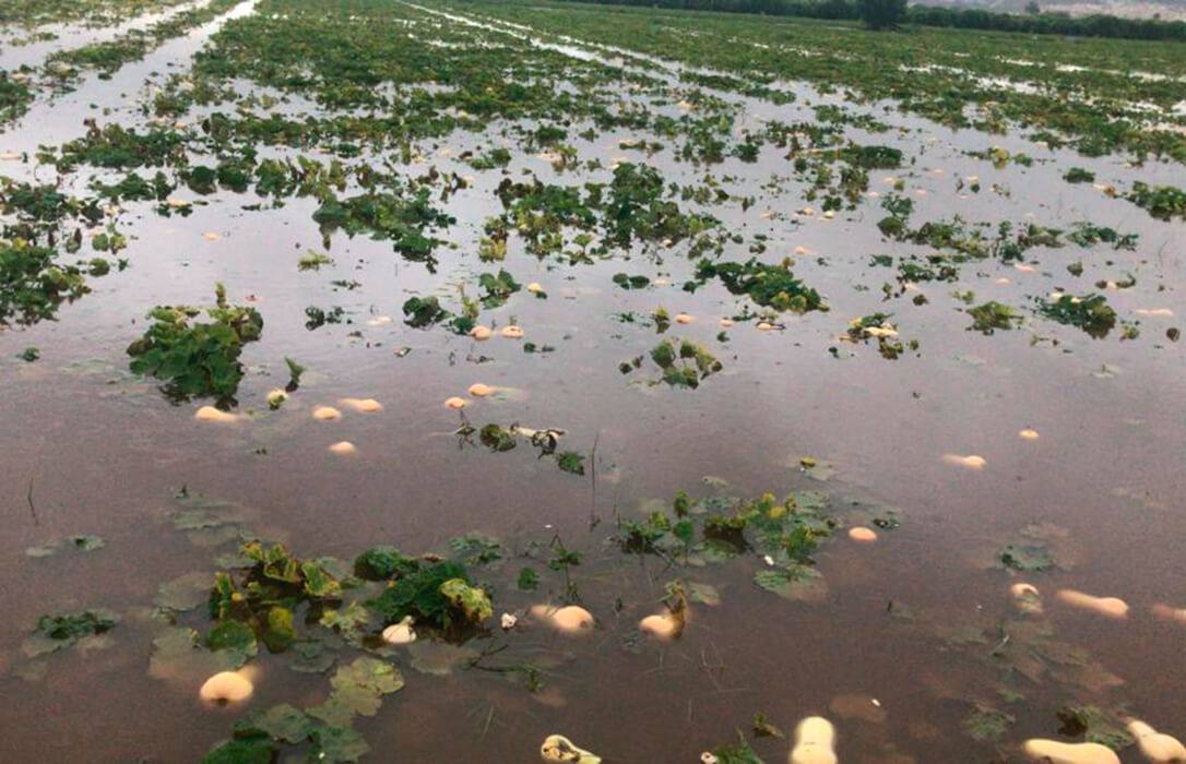 Cuando las barbas de tu vecino...: Alertan de la importancia de dragar ...