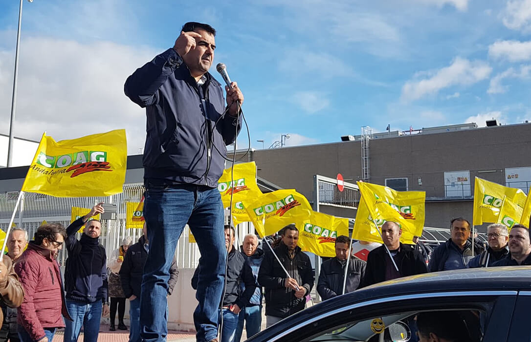 El Agricultor Almeriense Andrés Góngora Reelegido Responsable Estatal Del Sector De Frutas Y