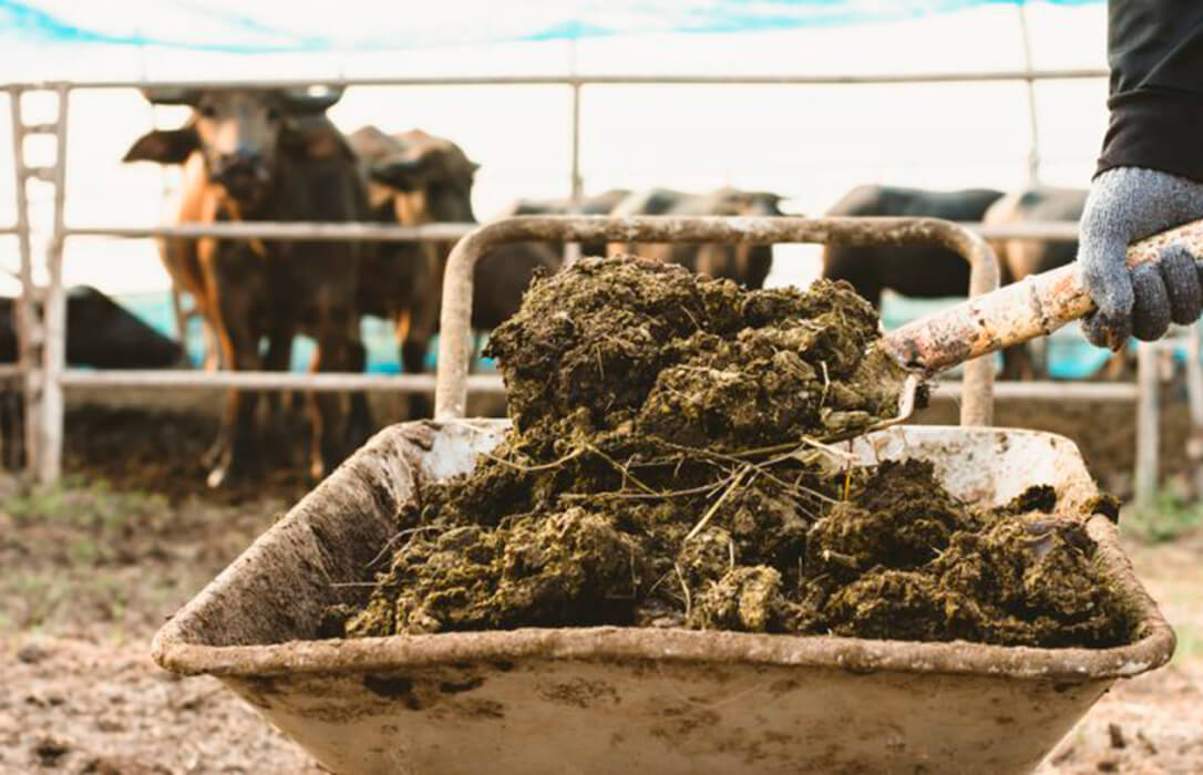 Convocadas ayudas a la inversión en sistemas de mejora de la gestión y ...