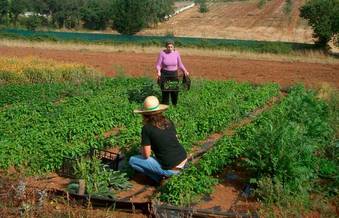 Los ensayos con nutricionales de Tradecorp demuestran el aumento de la ...