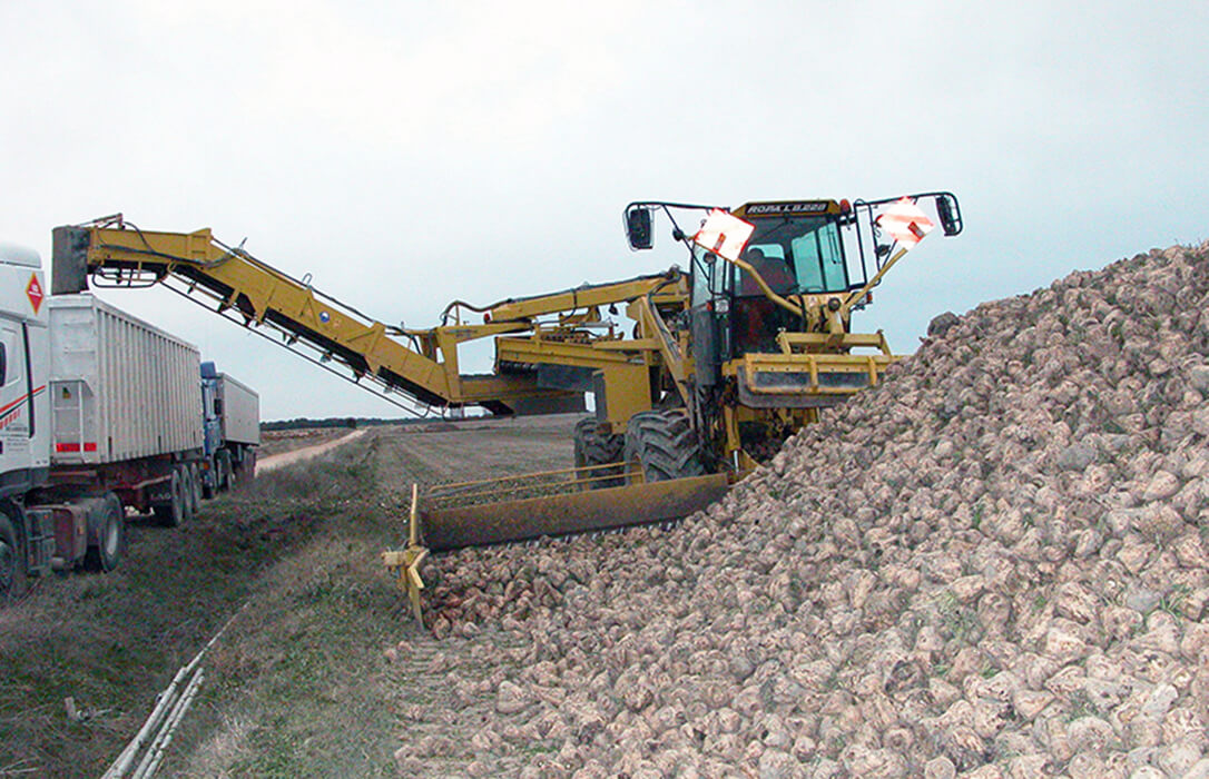 ACOR obtiene un beneficio de 8,41 millones en el ejercicio 2021-22 y ...