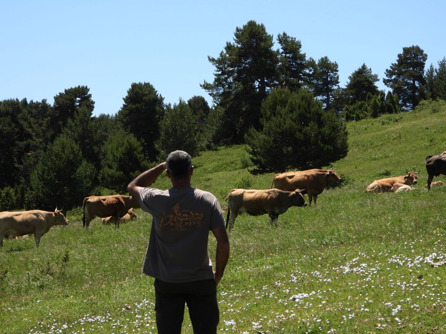 Una nueva PAC que prima los sobres autonómicos y da la espalda a los ...