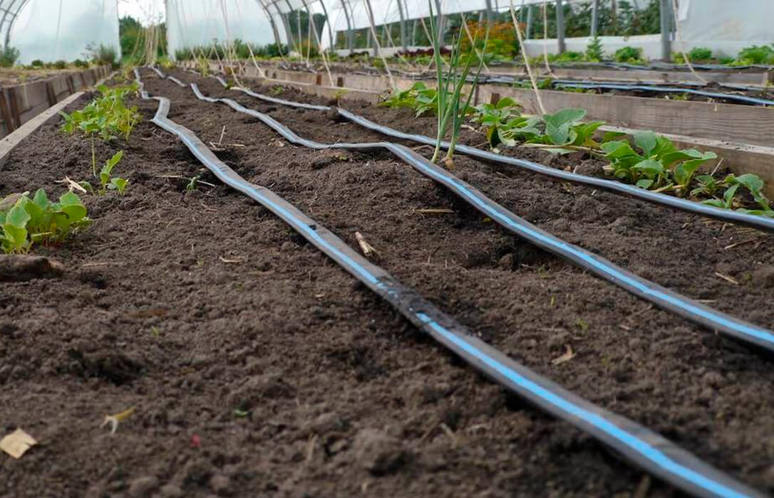 En los precios de la tierra para usos agrícolas lo más rentable es el ...