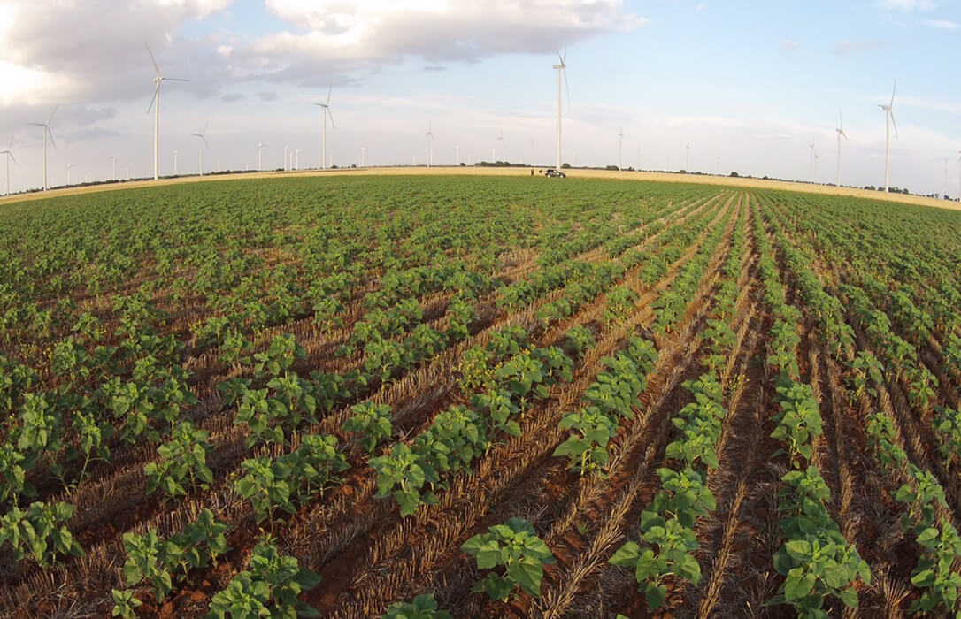 Piden acotar la interpretación de las normas de flexibilización de la ...