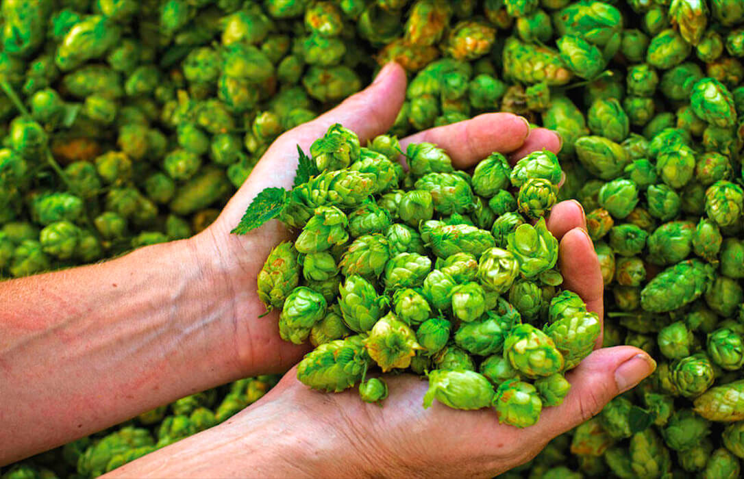 Se abre una puerta a la esperanza para solventar los problemas del ...