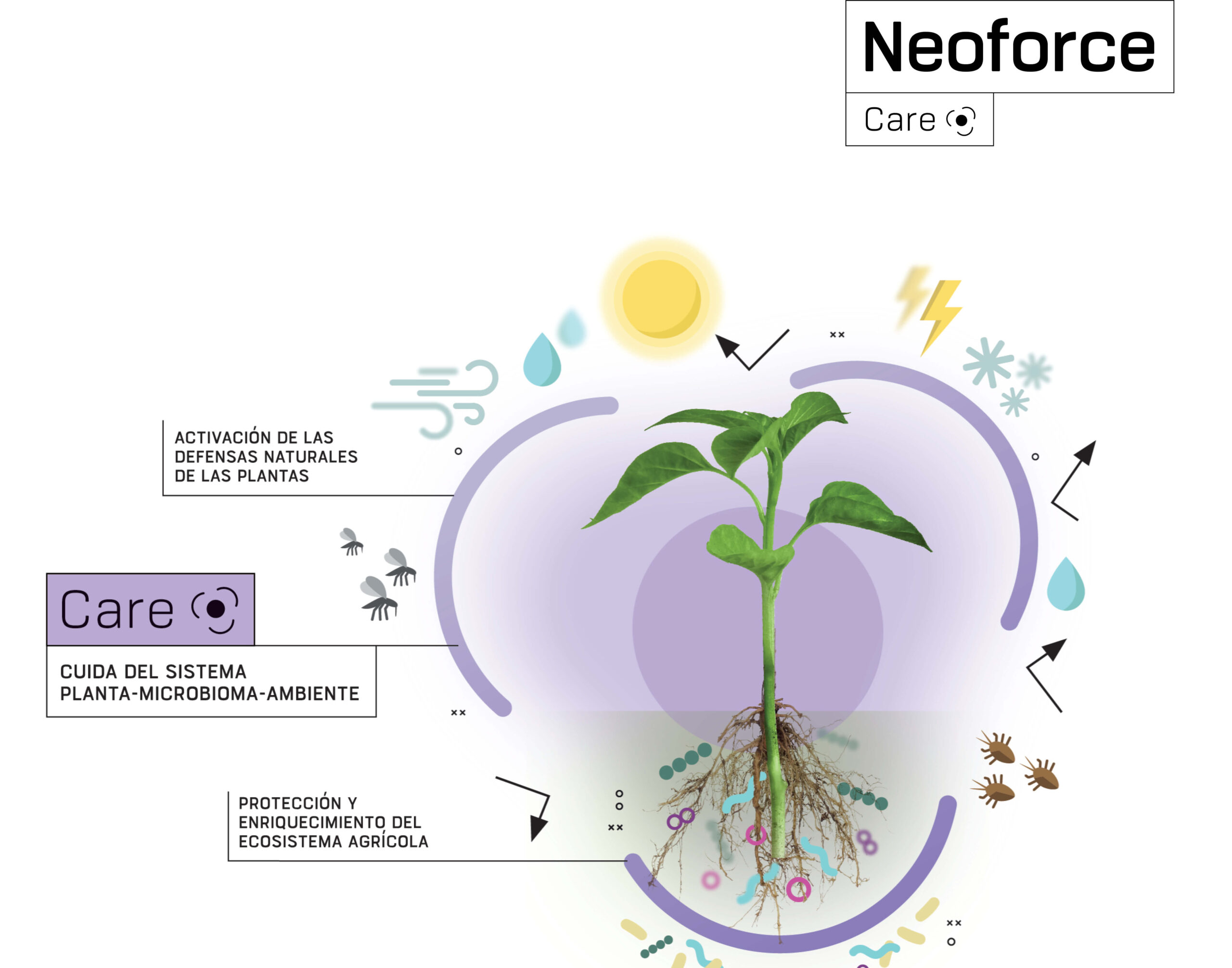 Fertiberia TECH lanza una nueva línea de productos biotecnológicos que ...