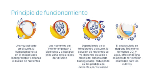 ICL lanza la exclusiva tecnología de encapsulado totalmente ...