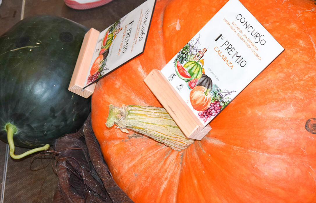 Una calabaza de 44 kilos de peso gana el concurso de frutos gigantes ...