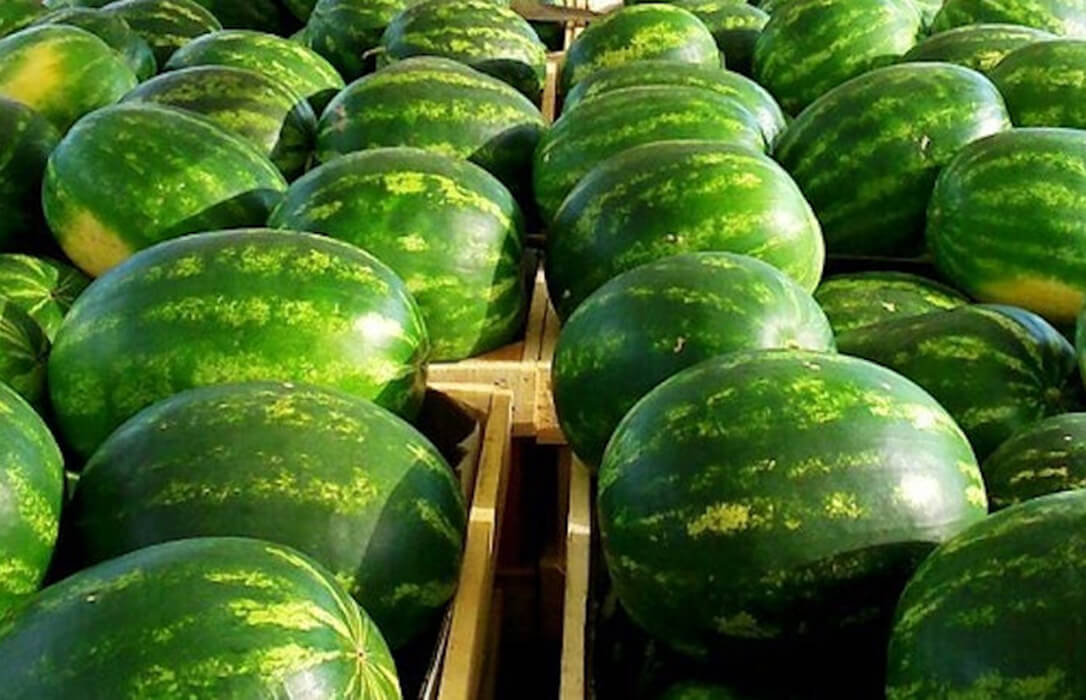 La CE alerta sobre el exceso del pesticida metomilo en las sandías de ...