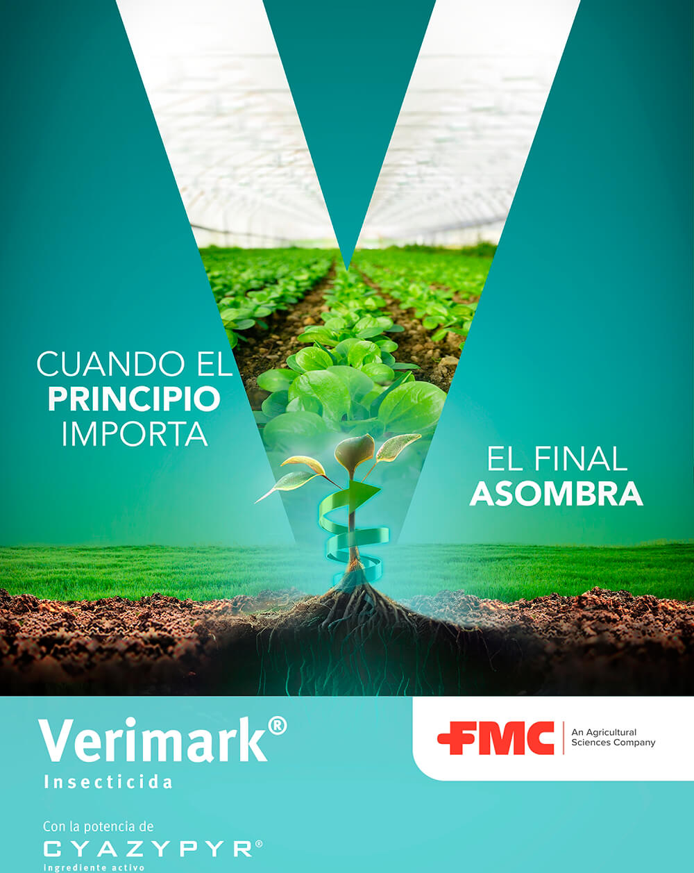 FMC lanza su nuevo producto Verimark®, insecticida para hortícolas que mejora la calidad ...