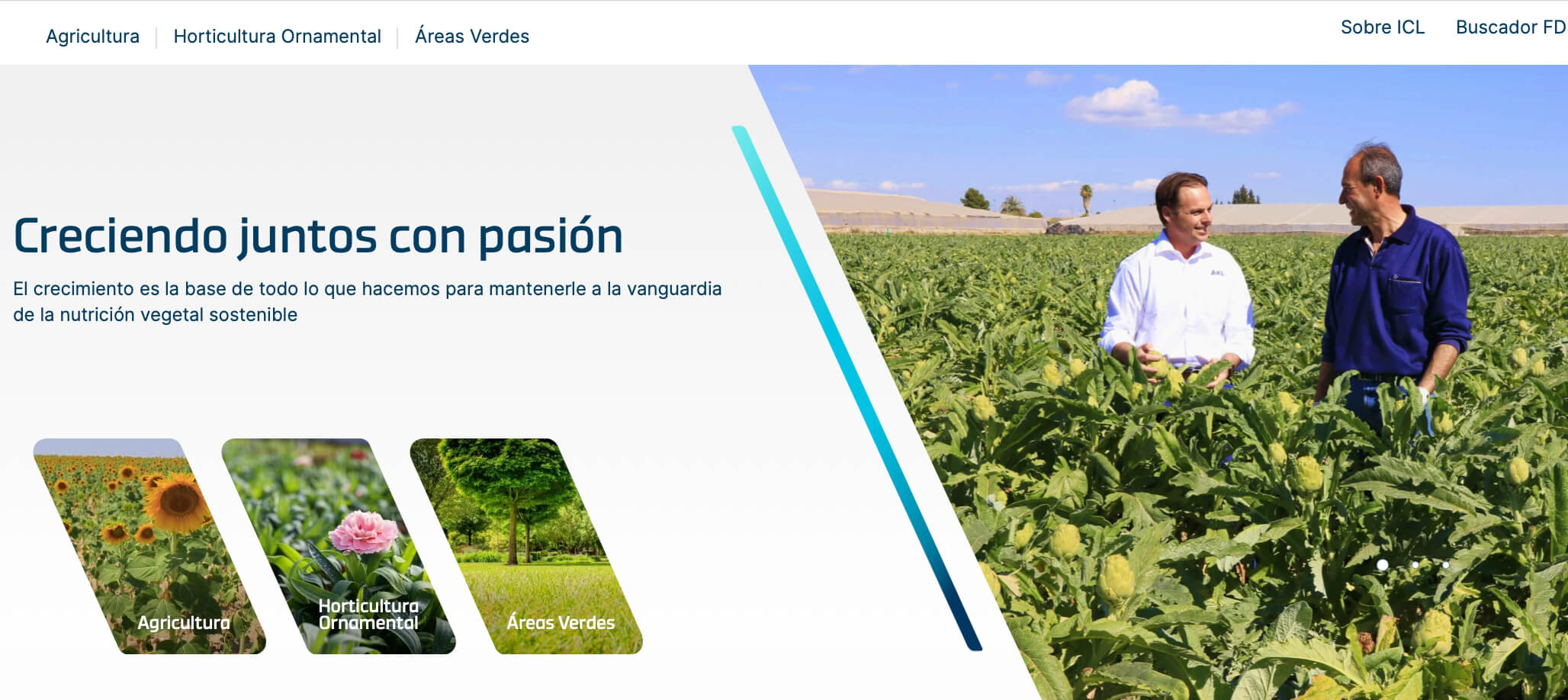 ICL lanza su nueva web “ICL Growing Solutions” en España para ser una ...