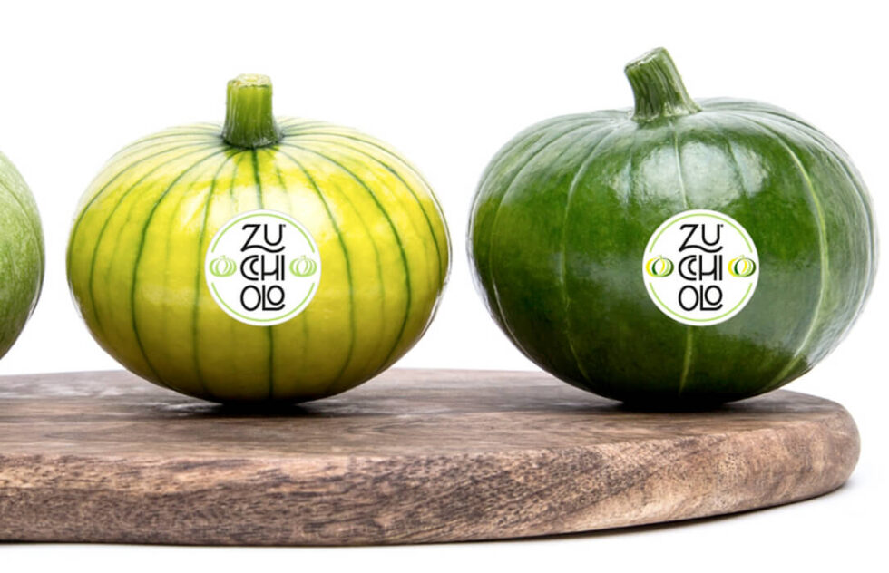 Zucchiolo, la nueva hortaliza entre el pepino y el calabacín que se va ...