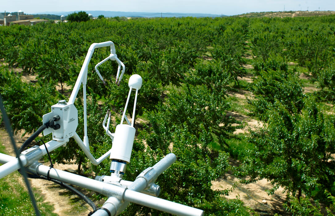 Agrolabs Digitales IRTA, una herramienta para la digitalización del sector agroganadero de forma ...