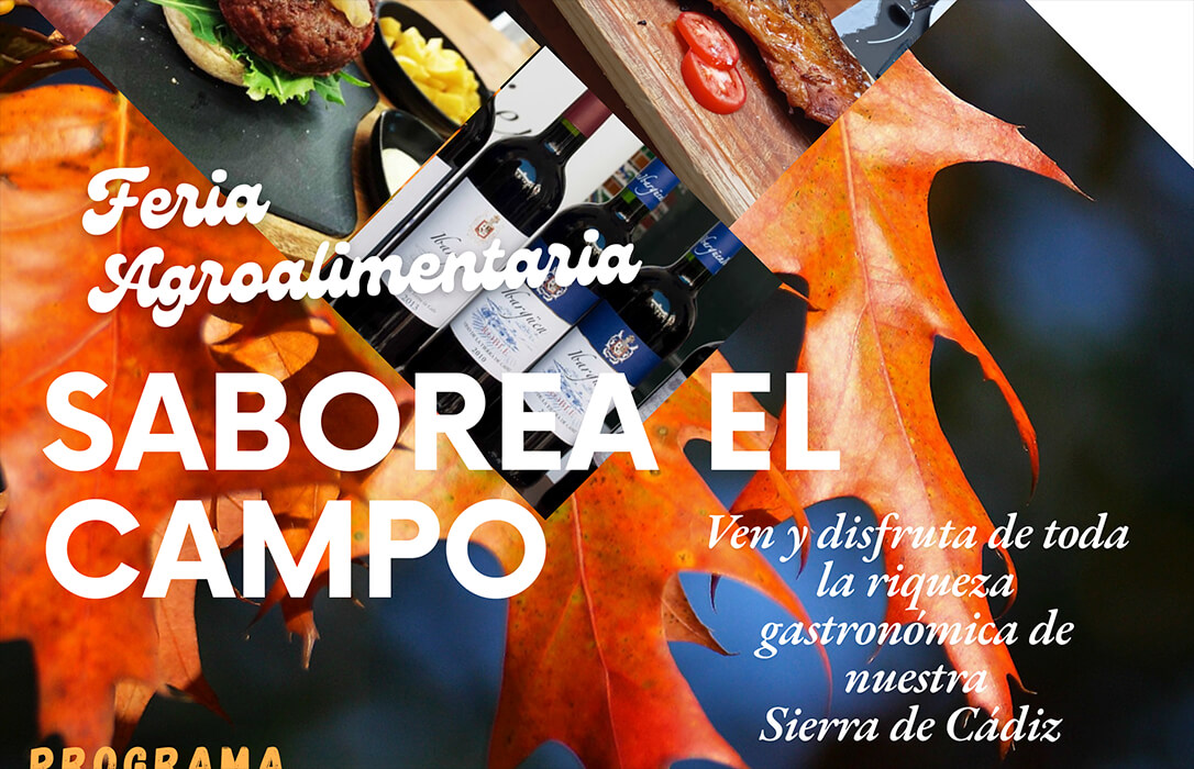 ‘Saborea el campo’: Cádiz celebra el sábado 9 la feria gastronómica que ...