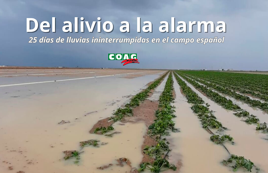 Primer balance del impacto del temporal: del alivio a la alarma tras 25 ...