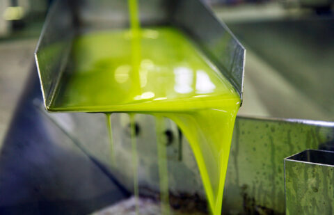 Shellygalore onlyfans i got a bit lost looking for her spot